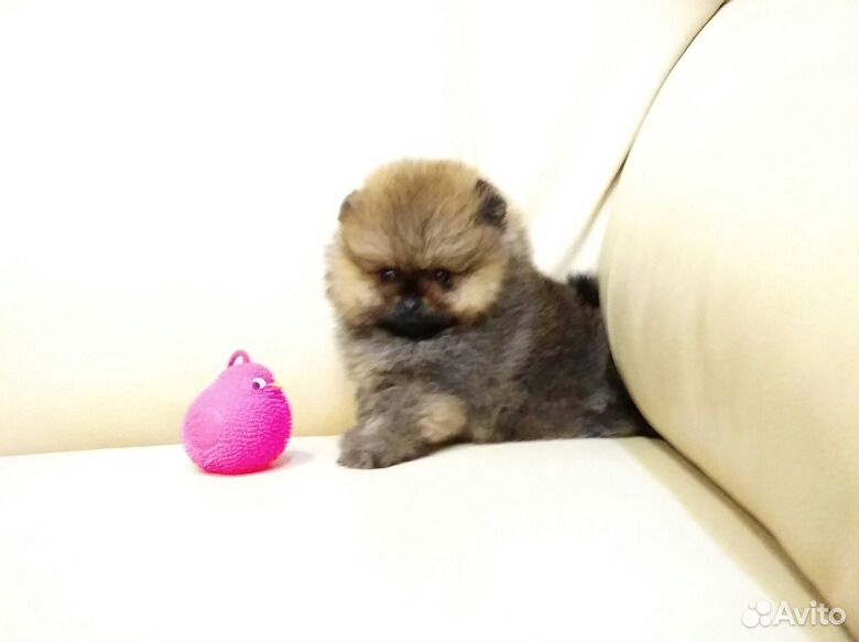 Супер минюшка девчушка