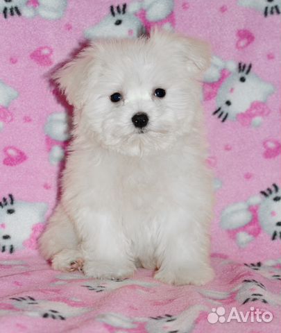 Малышка Мэлани Мио