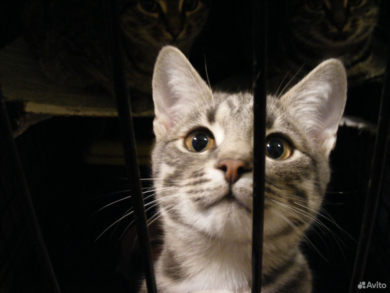 Без лишних слов