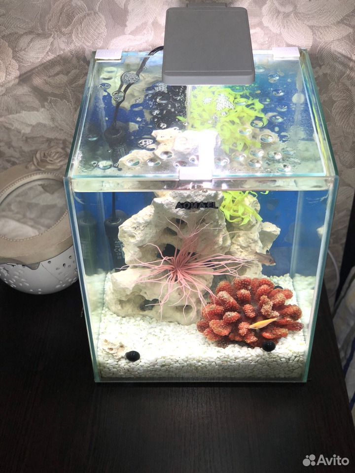 Аквариум