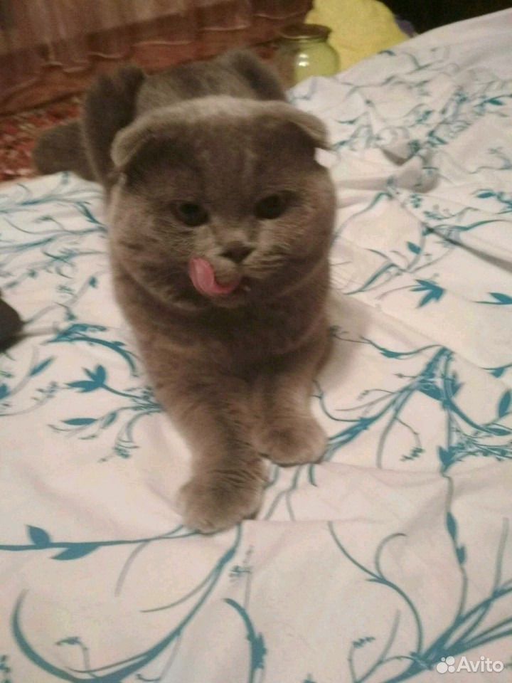 Вязка