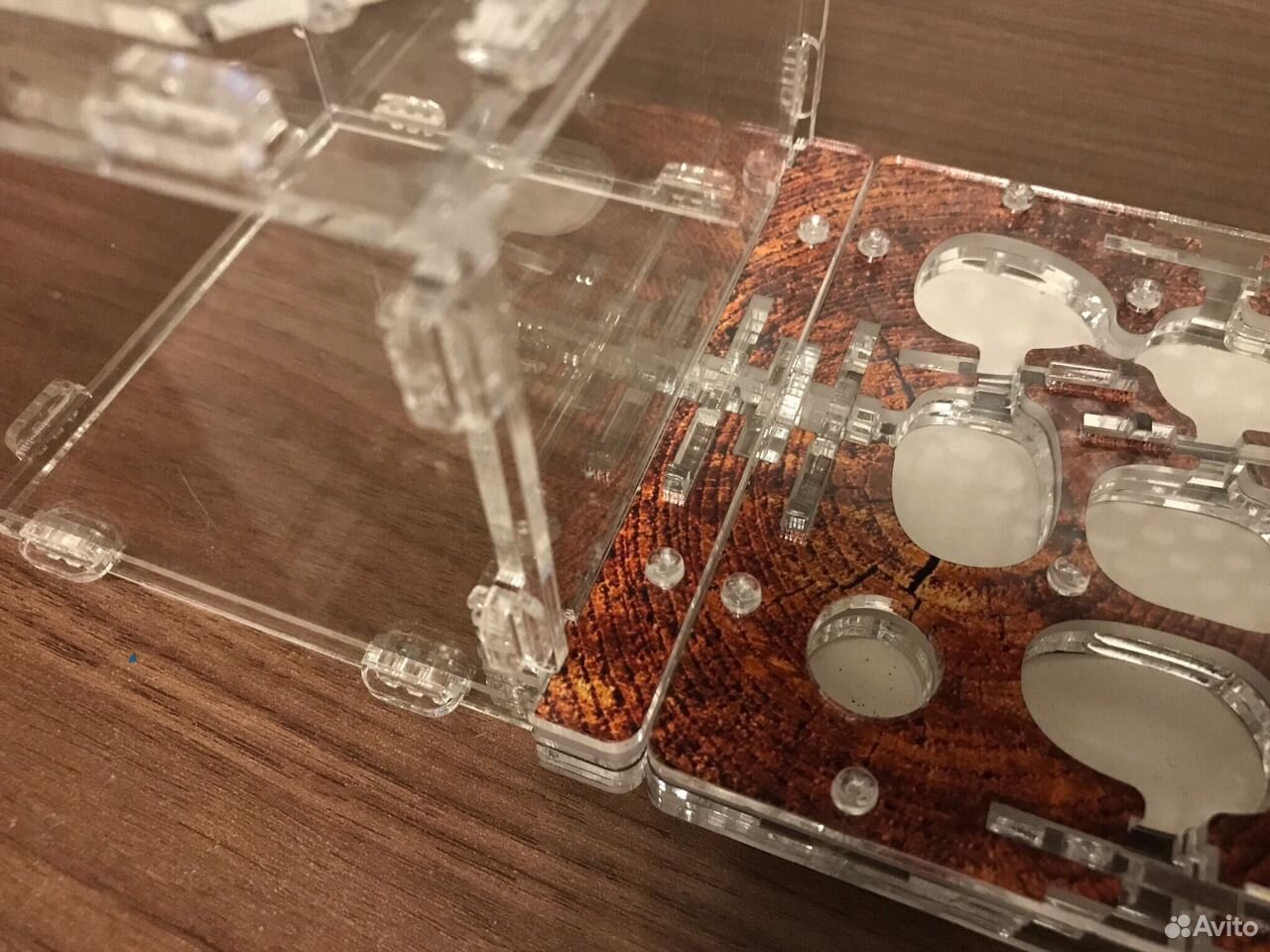 Муравьи и фермы от Imperium ants