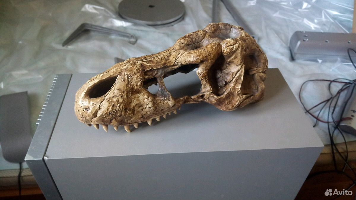 Череп для украшения аквариума или террариума