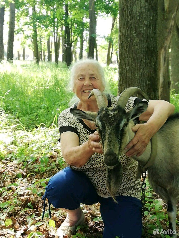 Козел -3.5 и 2 года на вязку