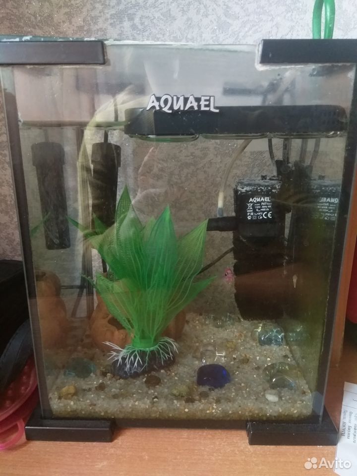 Аквариум