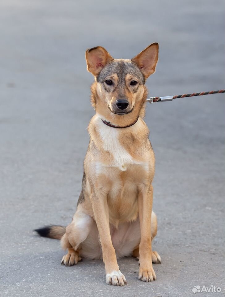 Красавица Герда