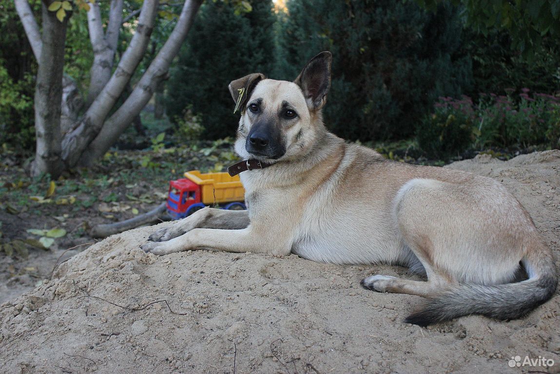 Милая и красивая Милана ищет дом