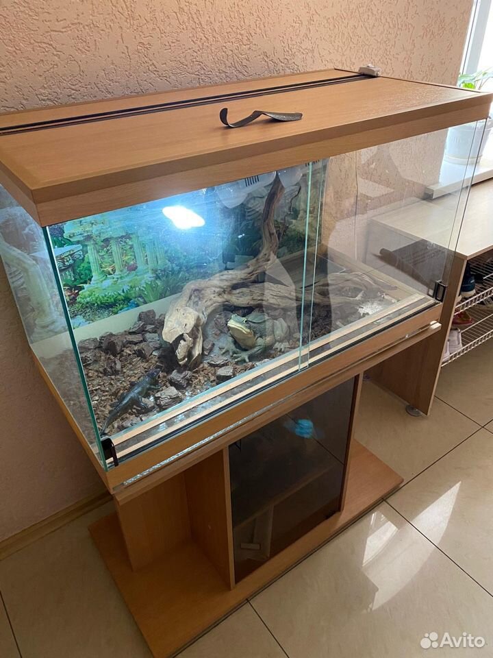 Аквариум