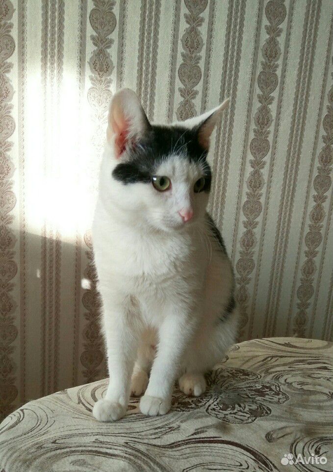 Марик-нежнее нежного, 8 месяцев