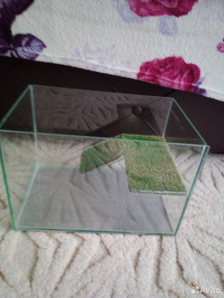 Аквариум для черепашки