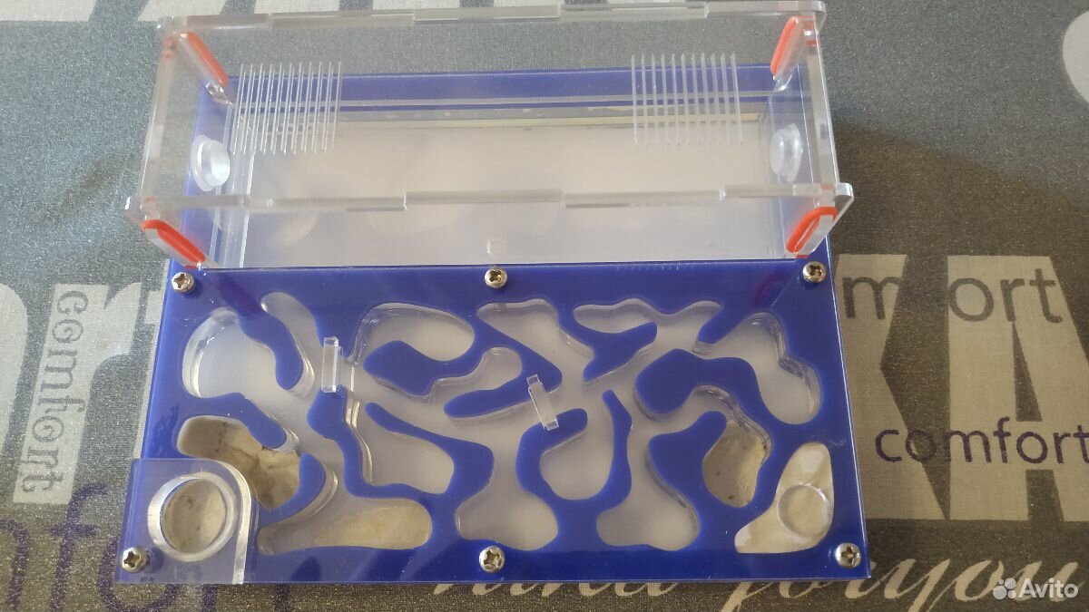 Фармикарий