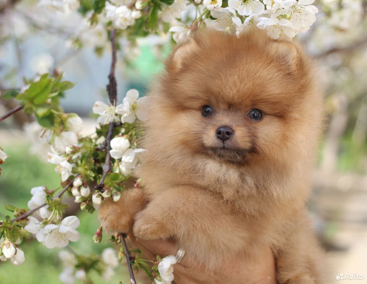 У нее голубые глаза