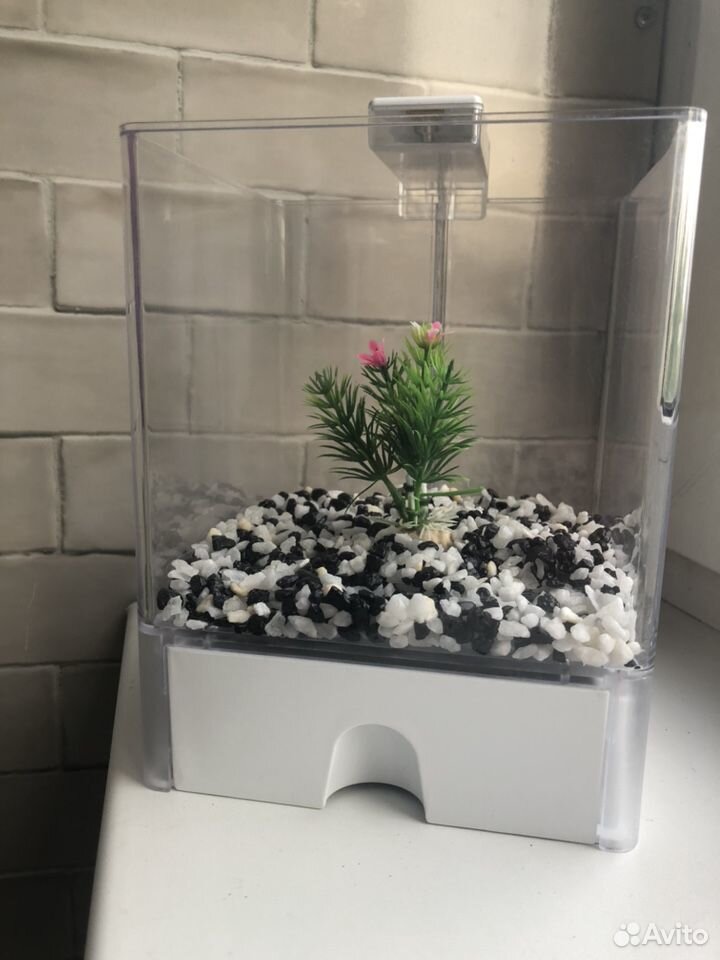 Аквариум 3л