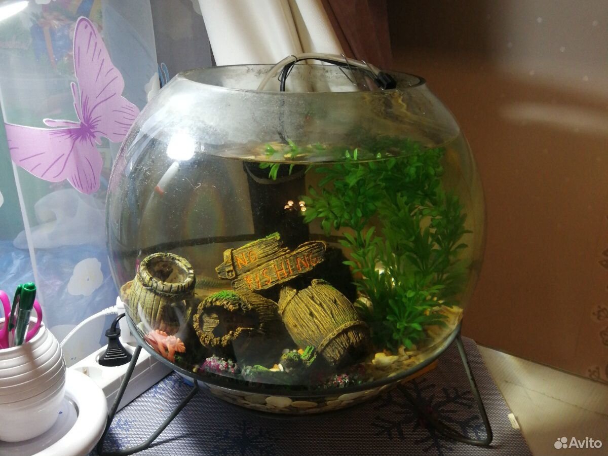 Террариум, аквариум