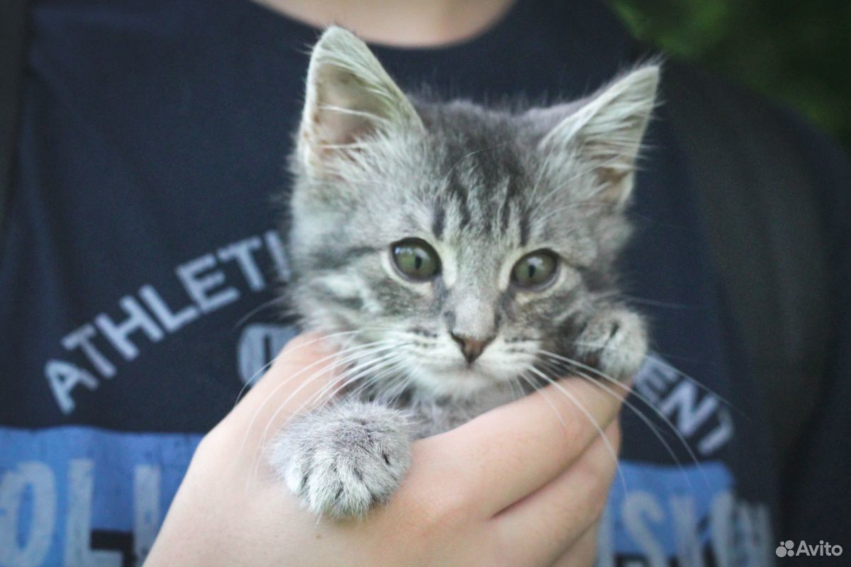 Малышка Эля ищет добрые любящие ручки