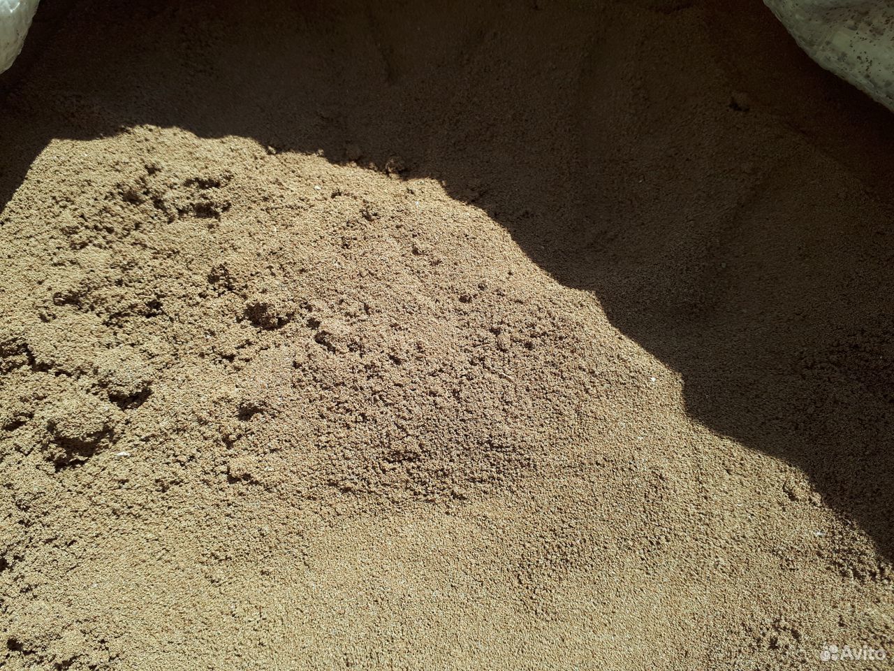 Яйца артемии