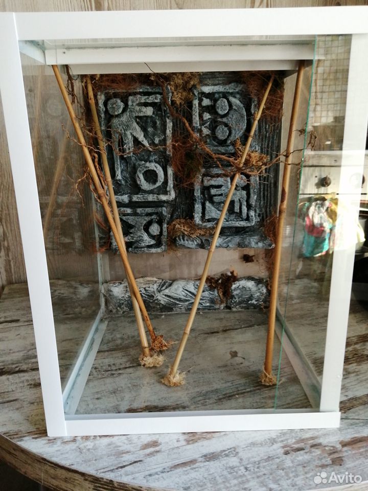 Террариум для паука