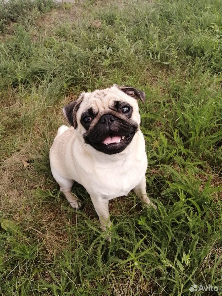 Ищем жениха