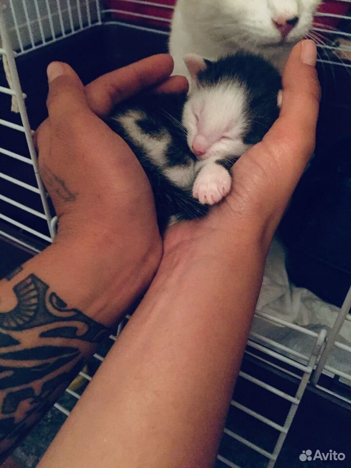 Счастье в ладошках