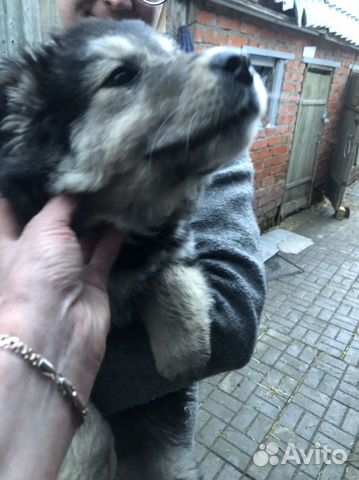 Счастье в ваш дом