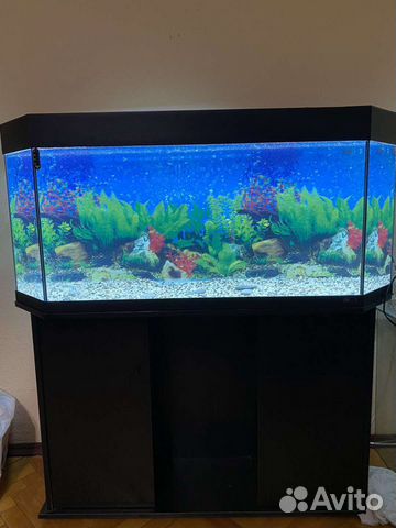 Аквариум juwel. 270л. с тумбой
