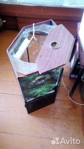 Аквариум