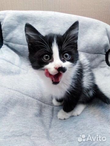 Малышка-милашка