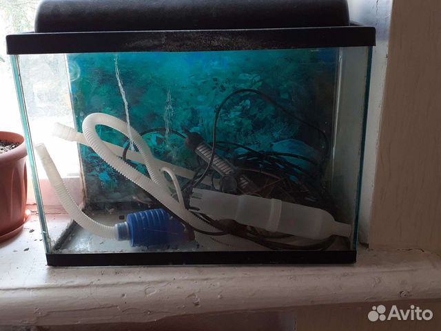 Аквариум
