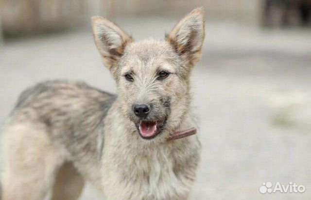 Девчуля 8 мес