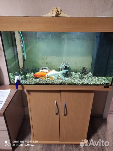 Аквариум juwel 125л