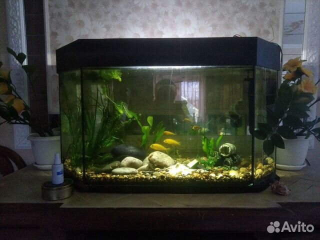 Аквариум