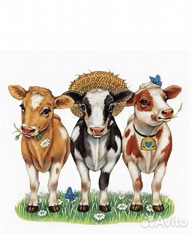 Продажа телят