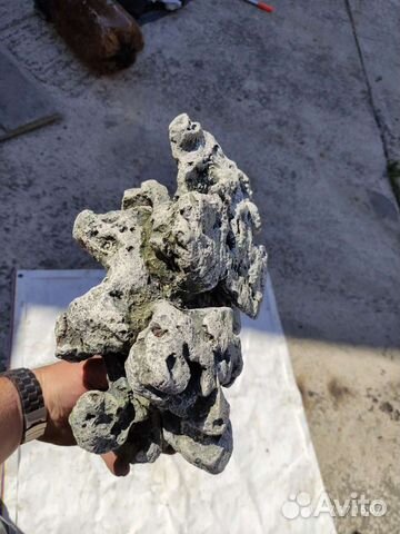 Коралл, камень балянус для аквариума