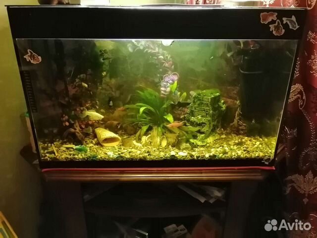Аквариум