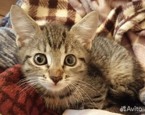 Малыш ждет маму