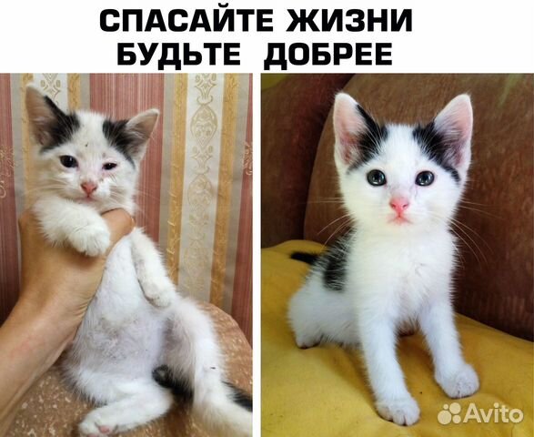 Спасение жизни - бесценно