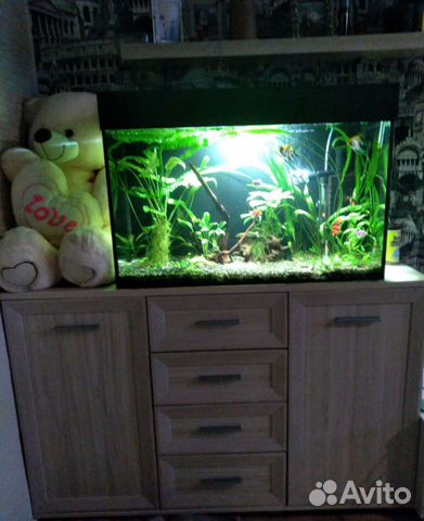 Аквариум 150 литров