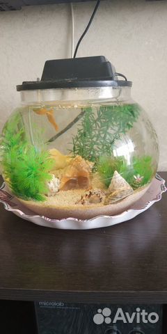 Продам Аквариум 10л