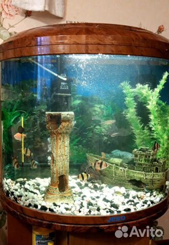 Аквариум 65 литров