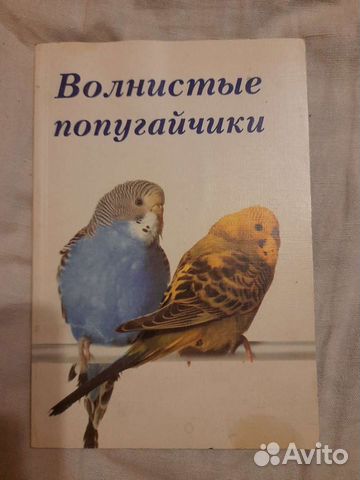 Волнистые попугайчики