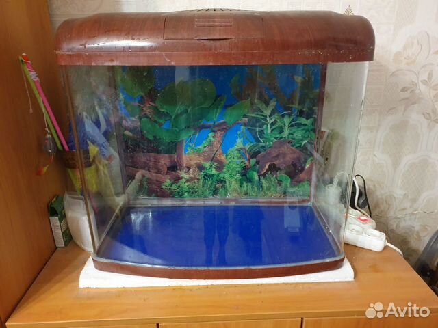 Аквариум Barbus 90л
