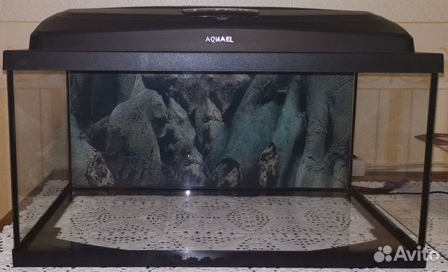 Аквариум