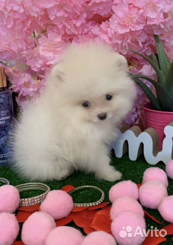 Маленькие антидепрессанты