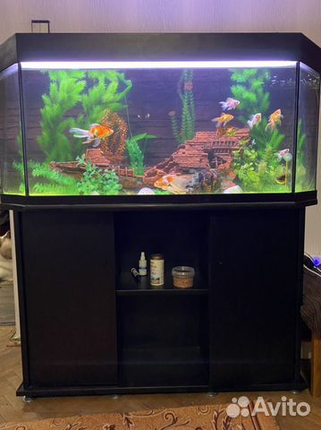 Аквариум с рыбками 230 л