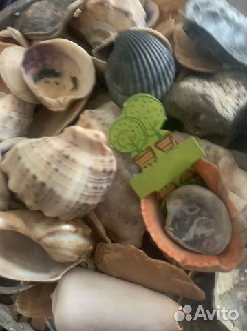 Раушки камни