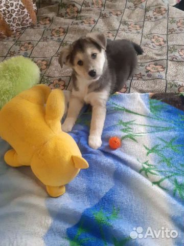 Девочка-малышка ищет семью