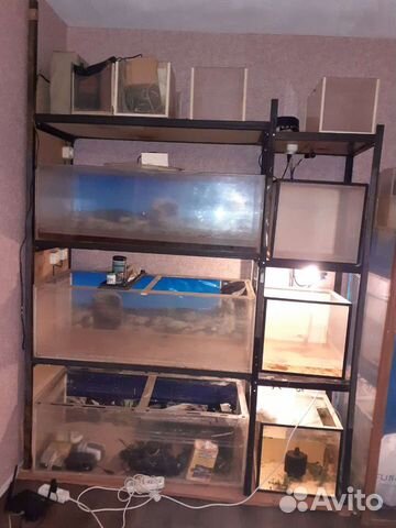 Аквариумы б/у оргстекло