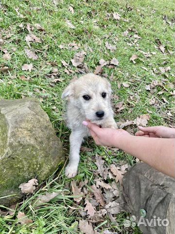 Спасти нельзя оставить (поставьте запятую)