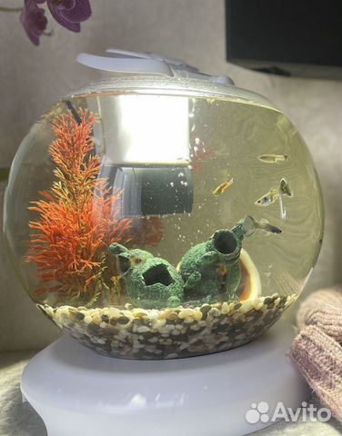 Умный аквариум