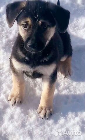 Добрый мальчик ждет свою семью